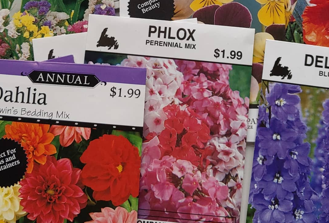 The Backyard Border Garden Part 1: Sowing Seeds Indoors – Eclectic Spark