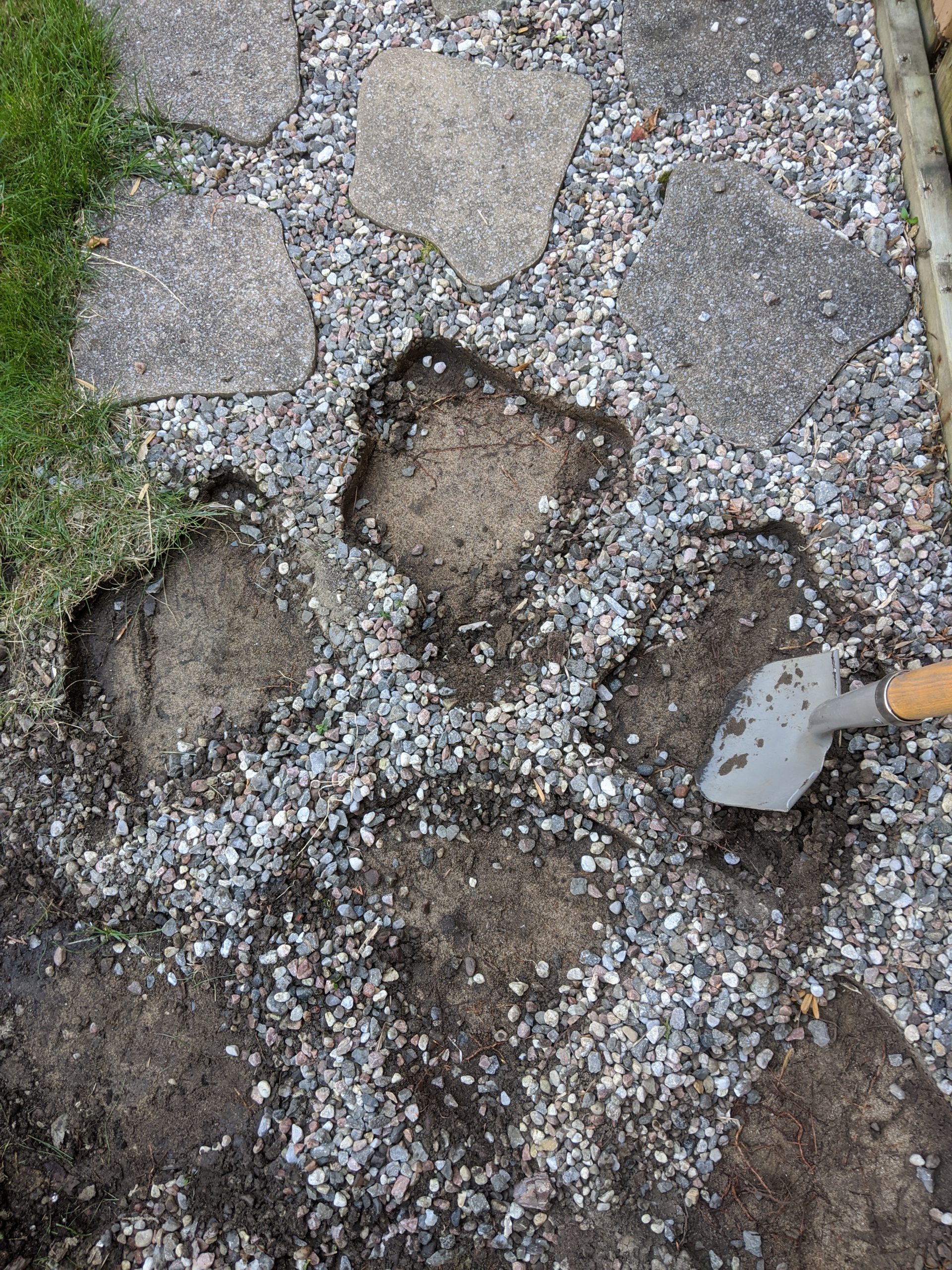 Backyard Makeover: Trees And Shrubs Edition – Eclectic Spark