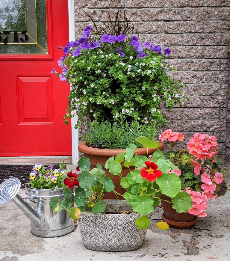 Front Yard Garden Tour – Eclectic Spark